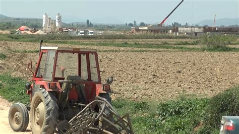 Телевизија 24 Домашното производство е клучот за избегнување на ценовните шокови кај основните