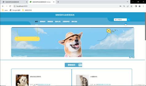 基于ssmjsp宠物领养互助管理系统 Csdn博客