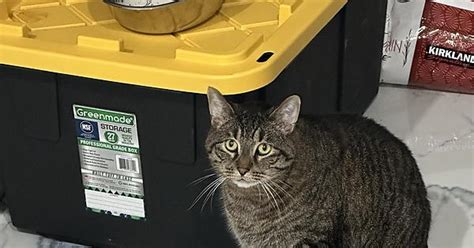 This Is Baxter Hes On A Diet And A Few Days Ago I Caught Him Trying