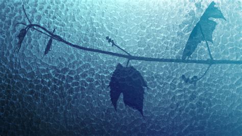 How To Leverage The Fair Model With The Nist Csf