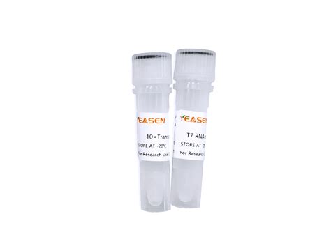 T7 Rna聚合酶 T7 Rna Polymerase 1 Ku μl