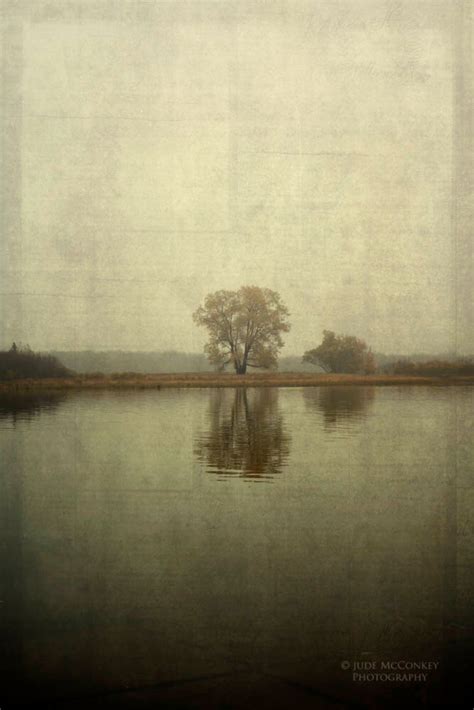 Tree Water Reflection Canvas Gallery Wrap Landscape Home Decor Nature Fine Art Photography Etsy