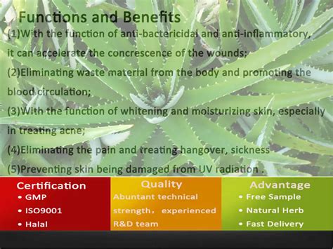 Aloe Vera Juice Extraction Aloe Vera Extract Aloin Aloe Barbadensis