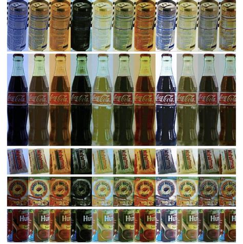 The Generated Seed Images Using Munit 46 The First Column Is Input Download Scientific