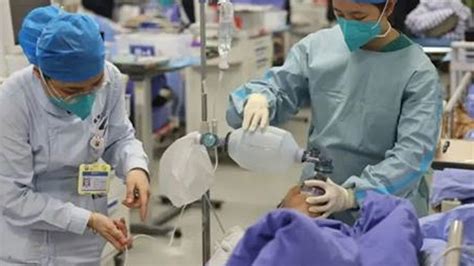 국제 동물감염 확산 코로나 바이러스 인간외 새로운 숙주 찾아 YTN