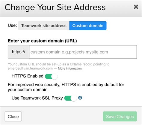 Using A Custom Domain Name For Your Site Teamwork Projects Support