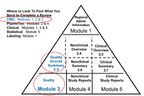 Ctd Structure For Dossier Submission Download Scientific Diagram