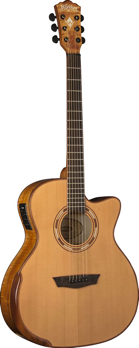 Washburn Guitars