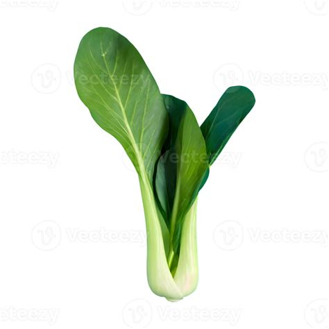AI Generated Pok Choi Isolated On Transparent Background 38179978 PNG