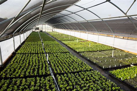 Supplier Spotlight Loma Vista Nursery