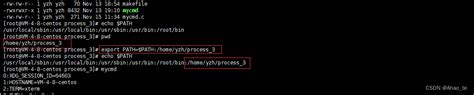 【linux】linux的环境变量（path、env、子进程继承环境变量等） linux path csdn博客