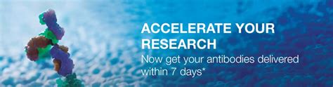 Antibodies Delivery Within 7 Days Thermo Fisher Scientific In