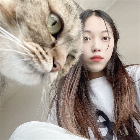 크로스 브라우징 이슈를 해결하는 방법
