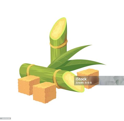 만화 지팡이 설탕 흑설탕과 사탕수수 생 식물의 큐브 벡터 일러스트 가솔린에 대한 스톡 벡터 아트 및 기타 이미지 가솔린 경관 과일 Istock