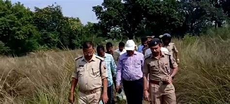 बस्ती में भैंस चरा रही युवती से रेप हालत गंभीरजांच में जुटी पुलिस