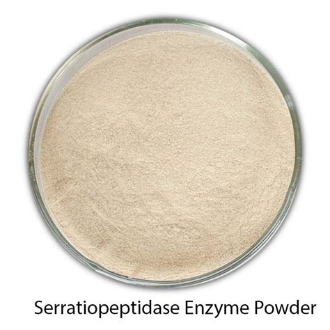 Serratia E 15 Serratiopeptidase Enzyme Powder At ₹ 10000 Kg In Dehradun