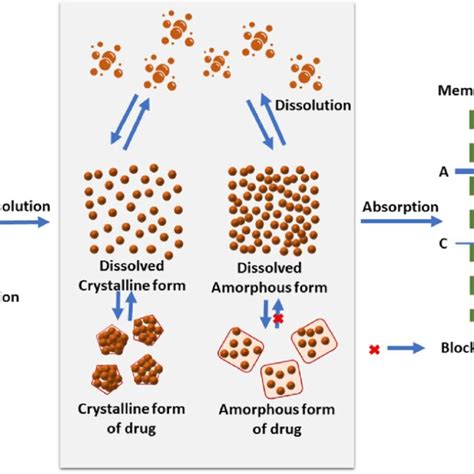Schematic Presentation Of Overall Enhancement Of Solubility And