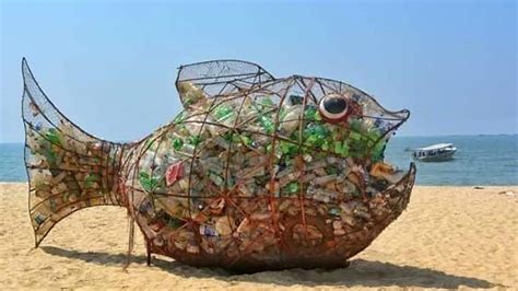 Las playas espacios libres de plásticos Peces comeplástico