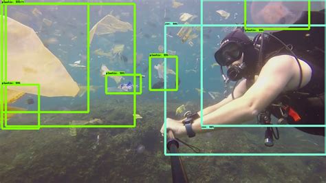 Robotic Detection Of Marine Litter Using Deep Visual Detection Models Deepai