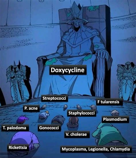 Medical Doxycycline 👑☺️ Facebook