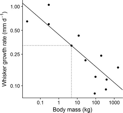 Allometric Relationship Between Logarithmic Body Mass And Logarithmic