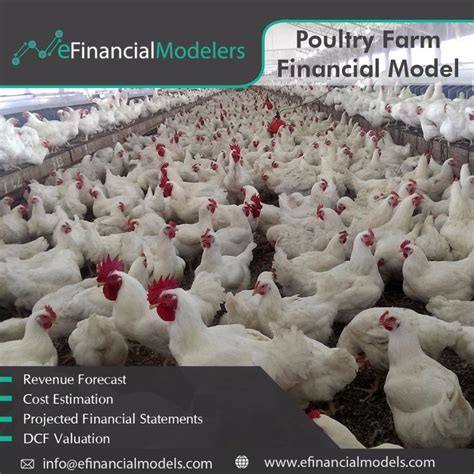 Poultry Farm Management Excel Template Ascsetoy