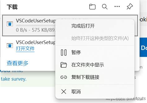 解决vs Code下载过慢或下载失败codeium 无法下载 Csdn博客