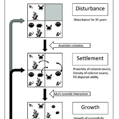 Flow Chart Of The Spatially Explicit Seafloor Disturbance Model And Download Scientific