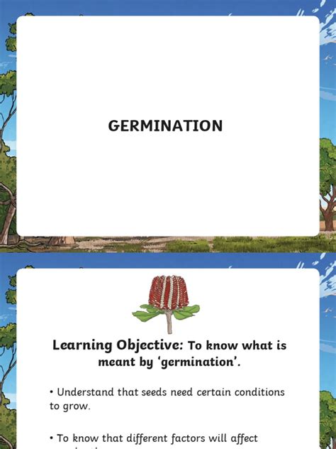 Factors That Affect Seed Germination Pdf