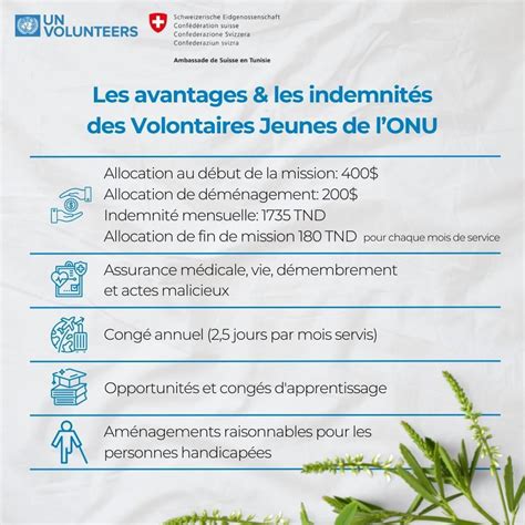 Asma Rouabhia On Linkedin Share Jobs Opportunities Unitednations