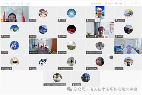 《电子驻车制动系统 Epb 技术要求》团体标准 审查会顺利召开！ 华盛通标标准研究院 北京通标恒远标准技术服务有限公司