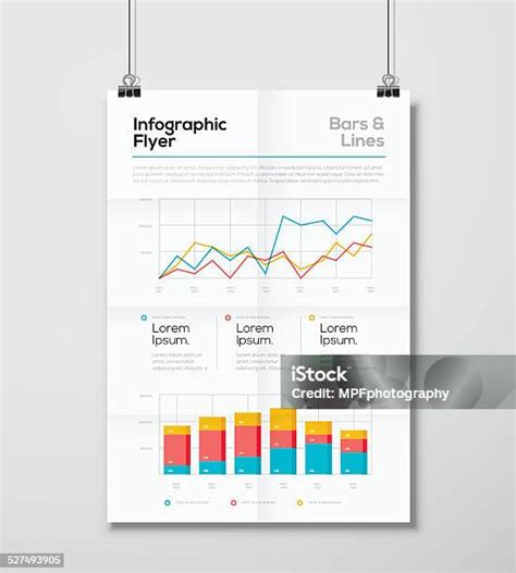 Detail Infographic Business Flyer With Line And Bar Graph Vector向量圖形及更多