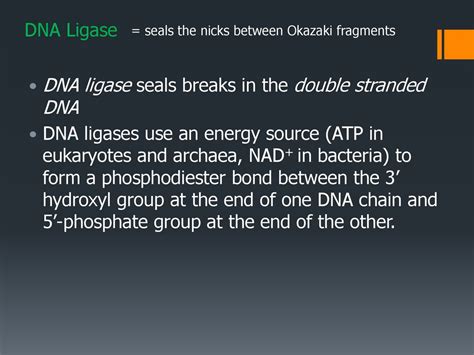 Nucleic Acids Cell Overview And Core Topics Ppt Download