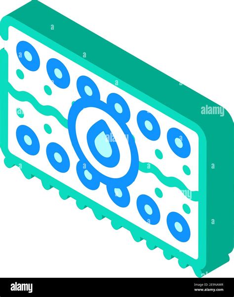 Water Absorption Isometric Icon Vector Illustration Flat Stock Vector Image Art Alamy
