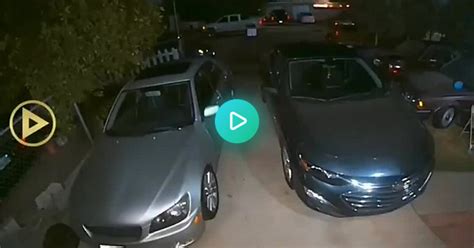 Tell Me You Saw What I Saw Album On Imgur