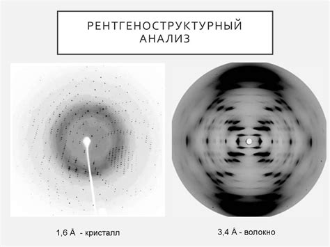 Основы молекулярной биологии презентация онлайн