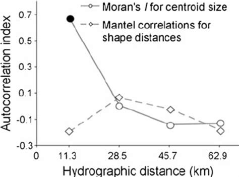Moran S I Correlogram And Mantel Correlogram For Shell Size And