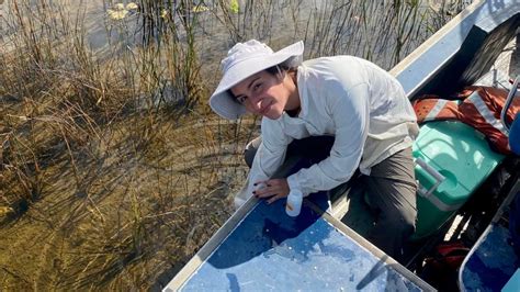 Meet Lauren Devito 2021 Fiu Foreverglades Scholar