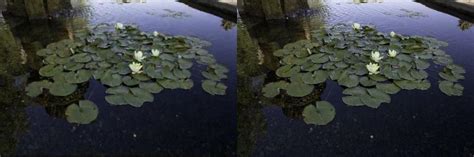 A Question About Image Crispness With Vq Vae Issue Rosinality Vq Vae Pytorch Github