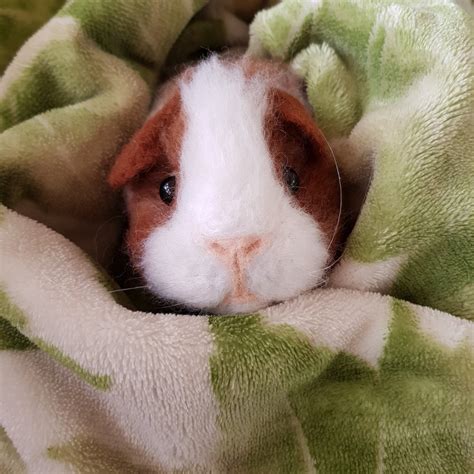 Realistische Meerschweinchen Spielzeug Plüsch Cavy Spielzeug Etsy
