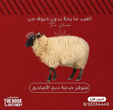 The Hook🪝 بيوفرلك خروف الأضحيه وخدمة الذبح بالمسلخ يتم الدبح في المسلخ