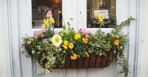 How To Build A Window Box Planter In Steps Remodelaholic