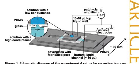 Figure 1 From Electroosmotic Flow Can Generate Ion Current Rectification In Nano And Micropores