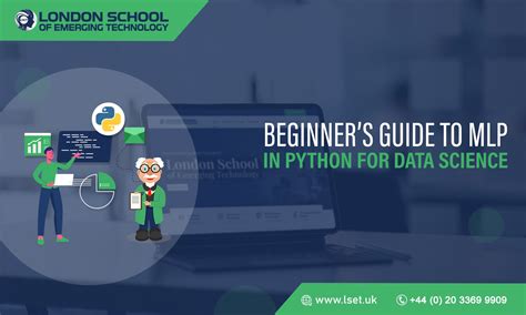 Beginner’s Guide to MLP in Python for Data Science - London School of Emerging Technology