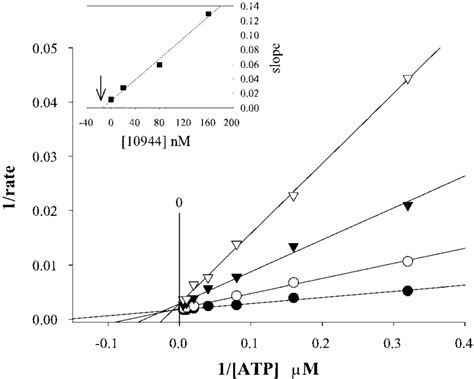 Double Reciprocal Plot Of Su10944 Inhibition Of Vegfr 2 At 160 Nm ƒ Download Scientific
