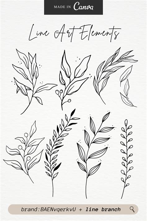 Canva Elements Line Art Branches Collection Brandbaenvqerkvu