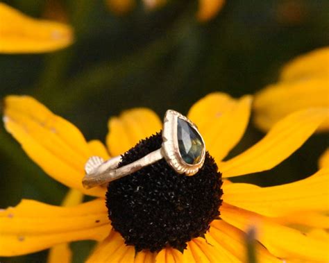 one of one—navigating within ring franny e