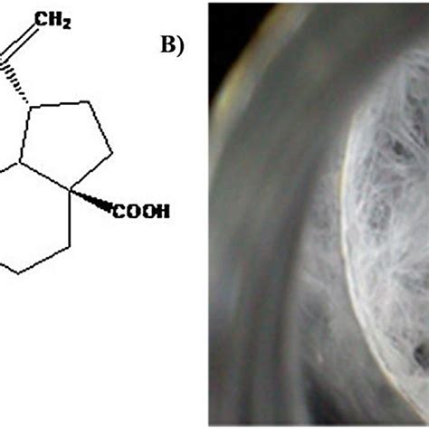 Chemical Structure Of Betulinic Acid Download Scientific Diagram