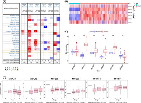 MRNA Expression Levels Of The Six MRPs In Ovarian Cancer A MRNA Download Scientific Diagram