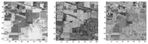 Plot Of Three Arbitrary Selected Ics Components From The Dct Ica Download Scientific Diagram
